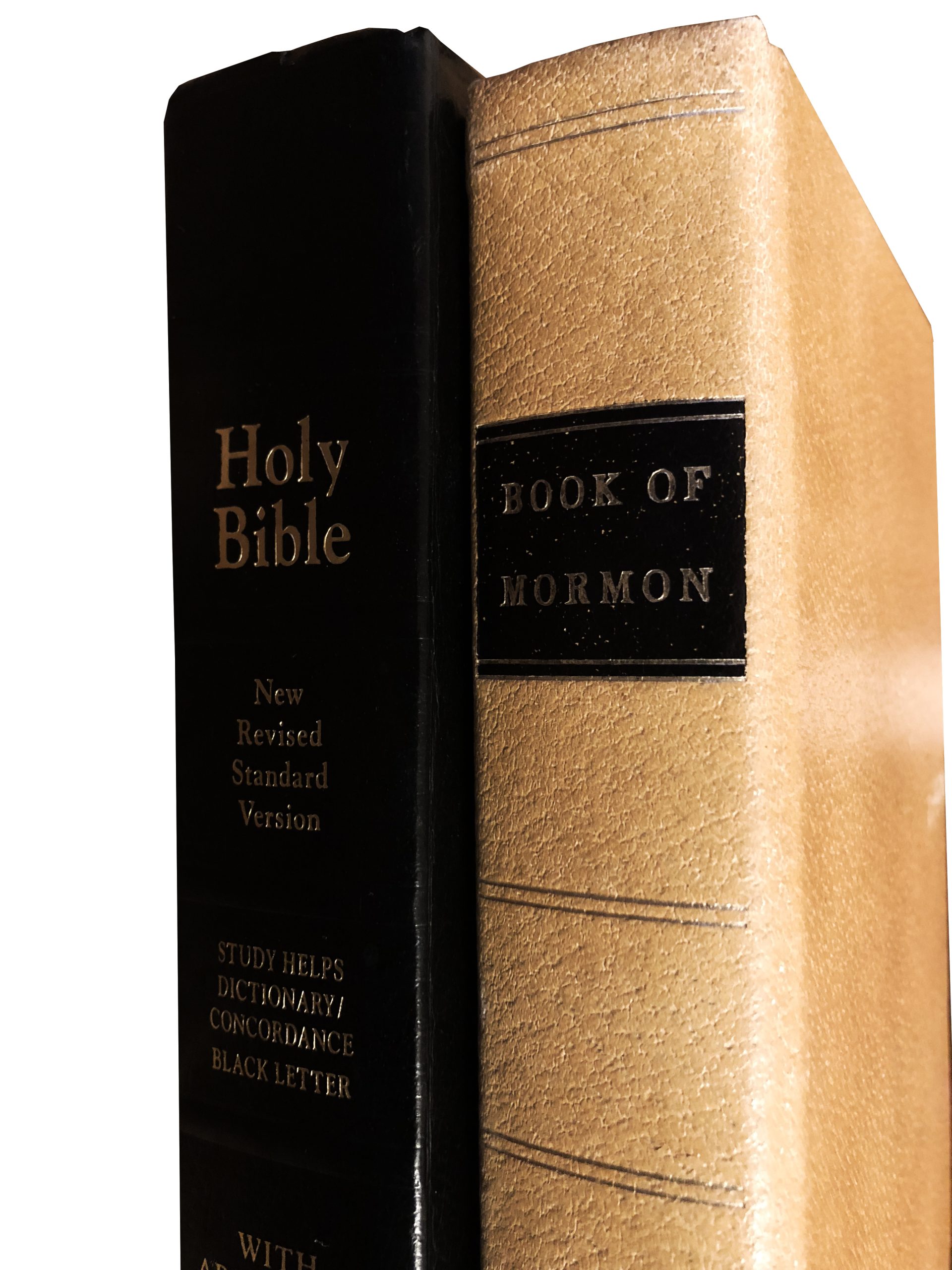 The Temple of God - Edification, The Fellowship of Christ