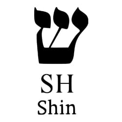 Mem Hei Shin - Edification, The Fellowship of Christ